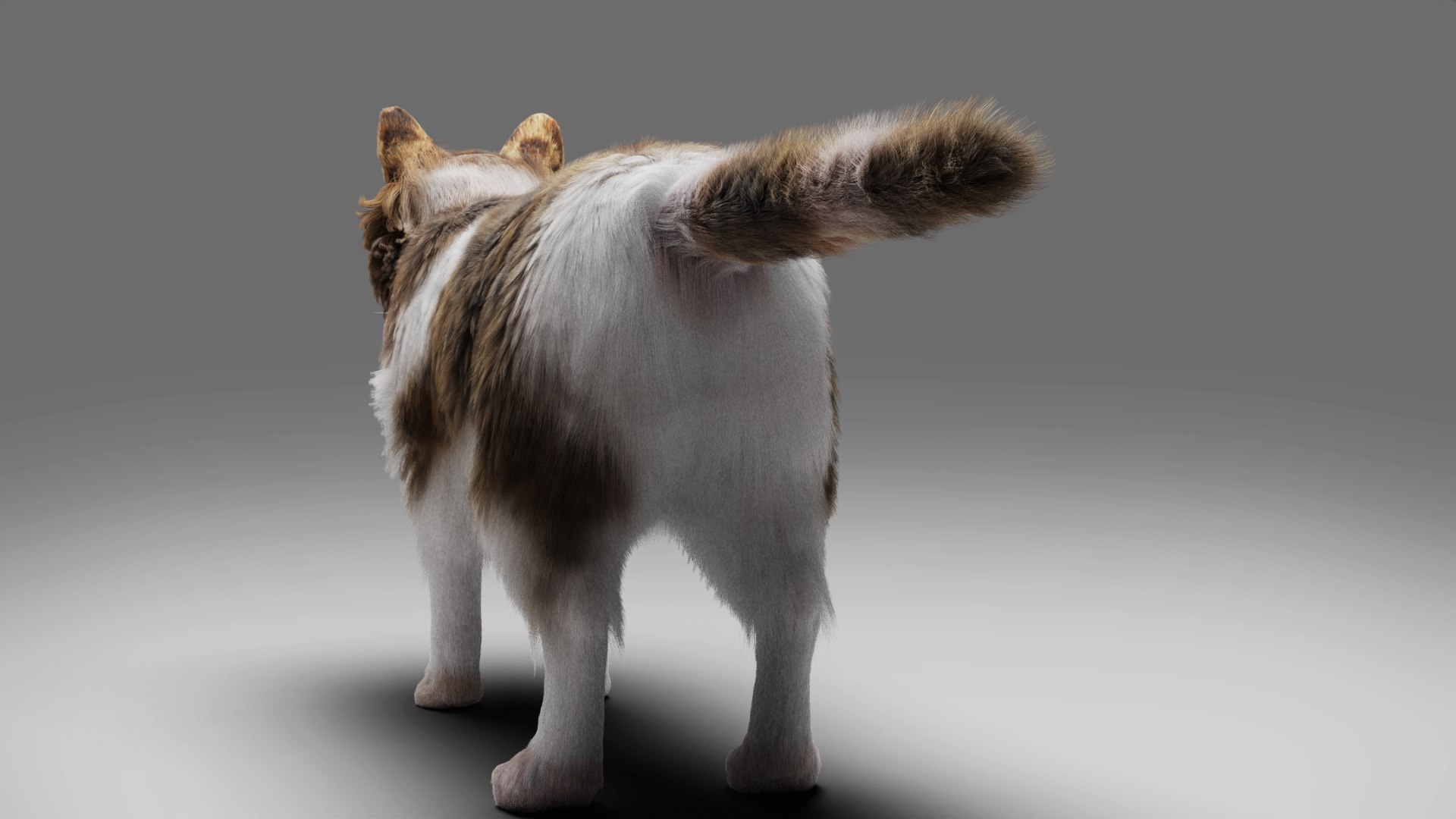 3D Fur Cat Calico V03 Rigged And Animated - TurboSquid 1981446