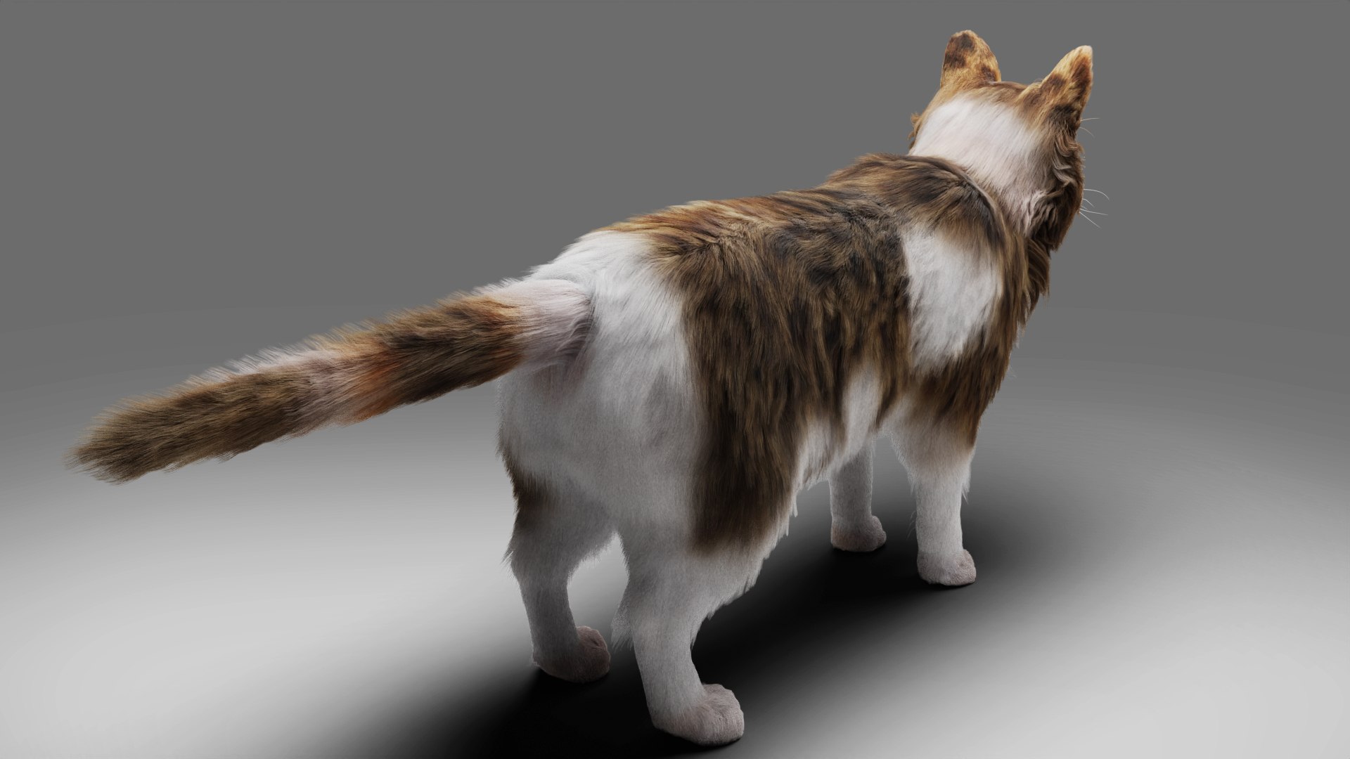 3D Fur Cat Calico V03 Rigged And Animated - TurboSquid 1981446