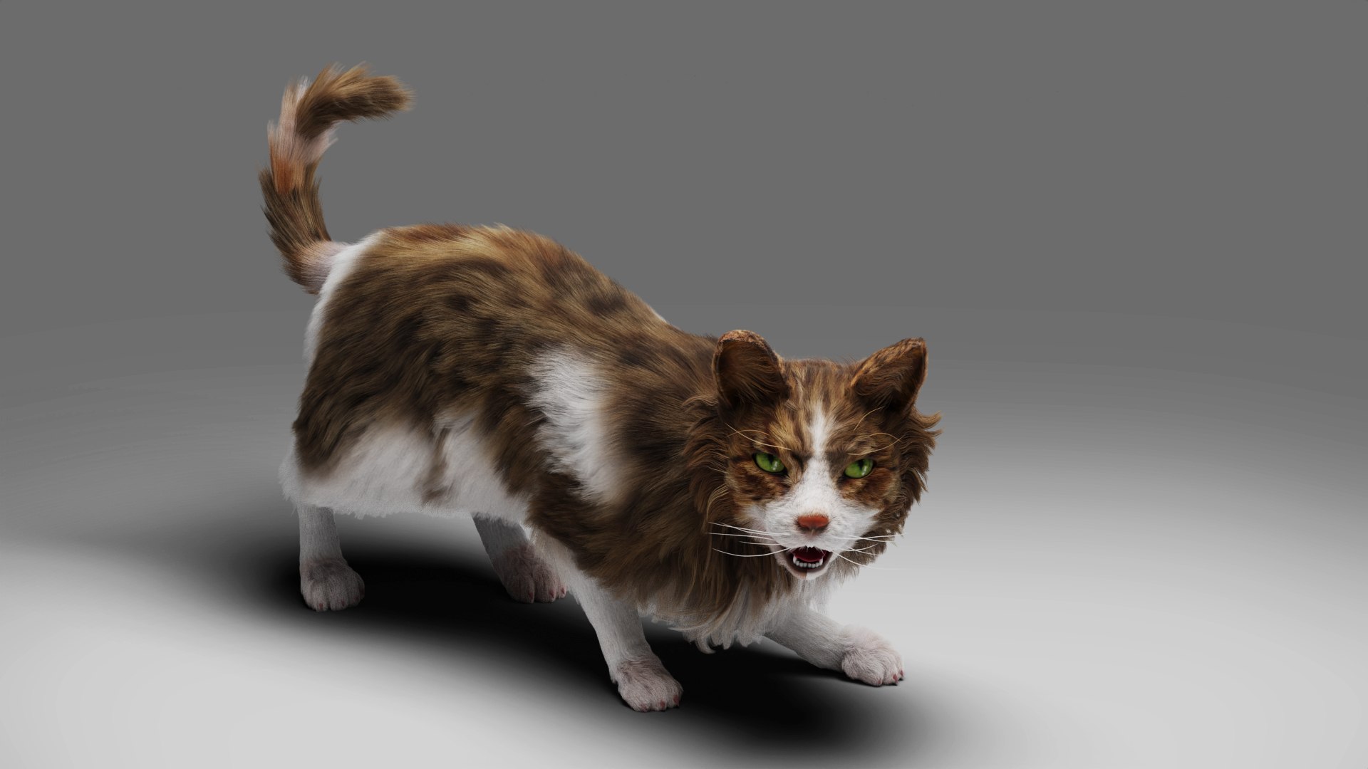 3D Fur Cat Calico V03 Rigged And Animated - TurboSquid 1981446