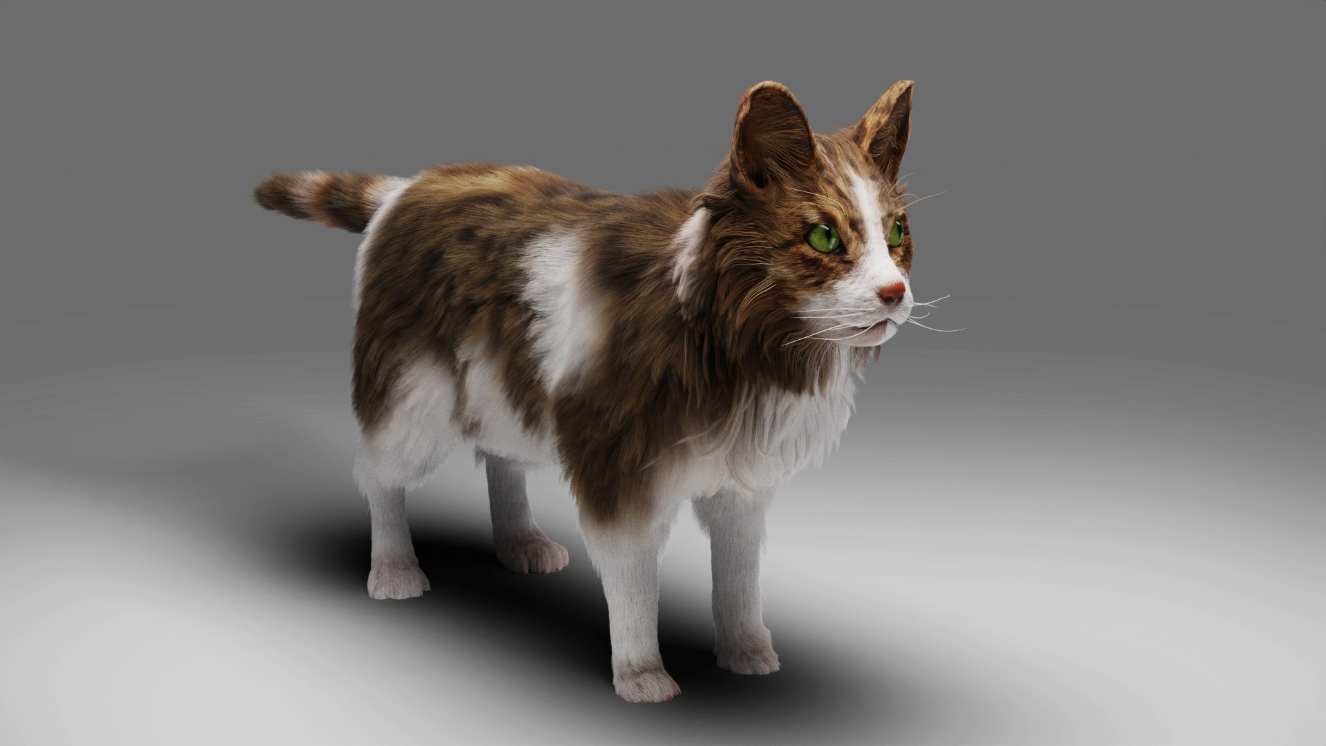 3D Fur Cat Calico V03 Rigged And Animated - TurboSquid 1981446