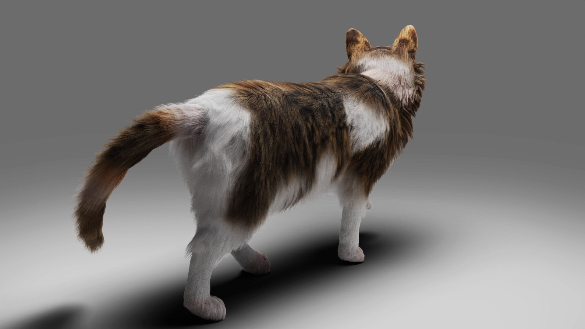 3D Fur Cat Calico V03 Rigged And Animated - TurboSquid 1981446