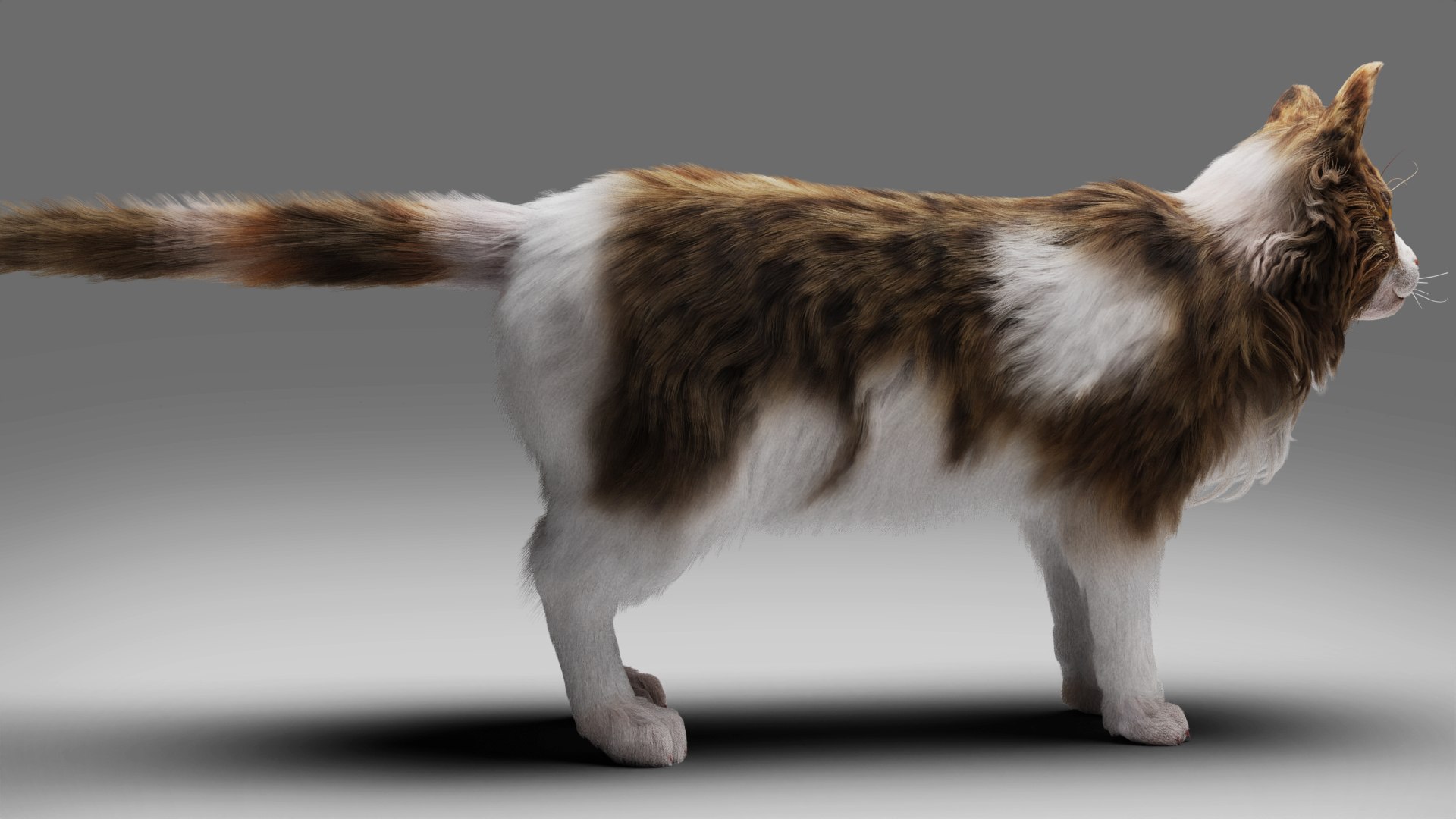 3D Fur Cat Calico V03 Rigged And Animated - TurboSquid 1981446