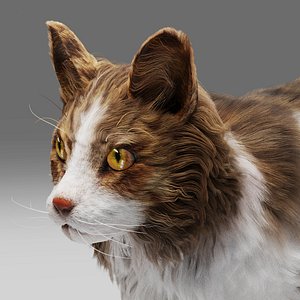 Rigged Cat Blender Models For Download | TurboSquid