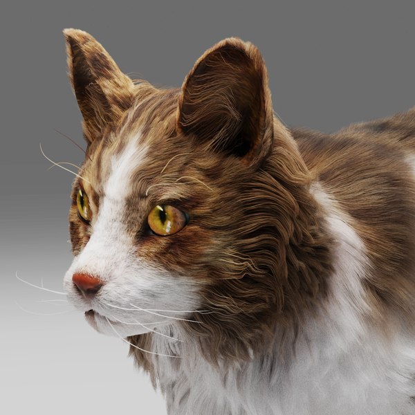 modelo 3d Fur Cat Calico V03 Rigged and Animated - TurboSquid 1981446