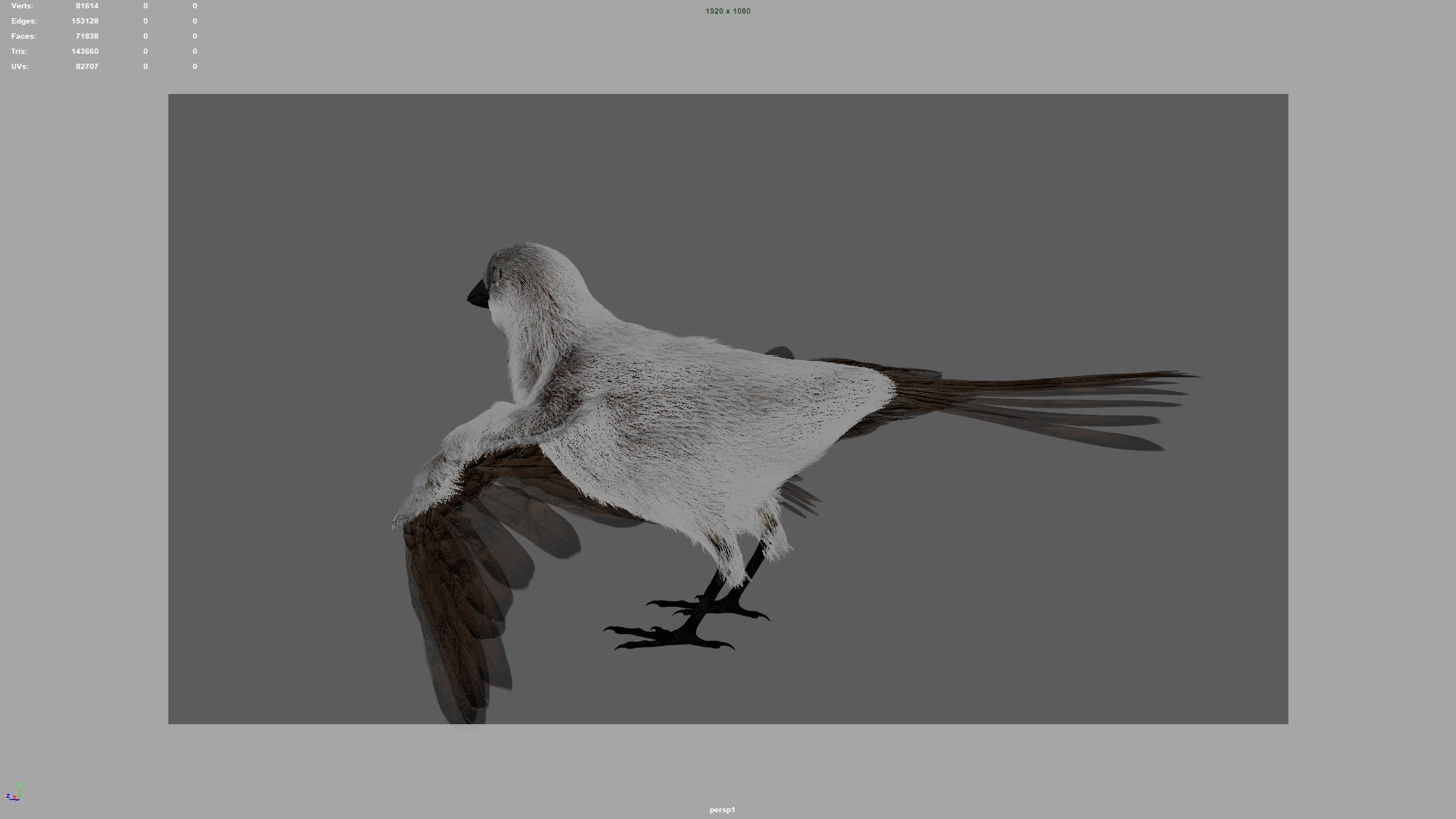 Bird Rig Model - TurboSquid 1282757