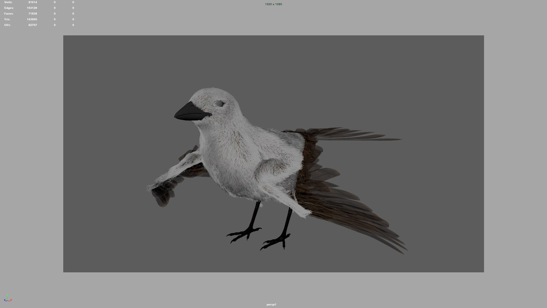 Bird Rig Model - TurboSquid 1282757