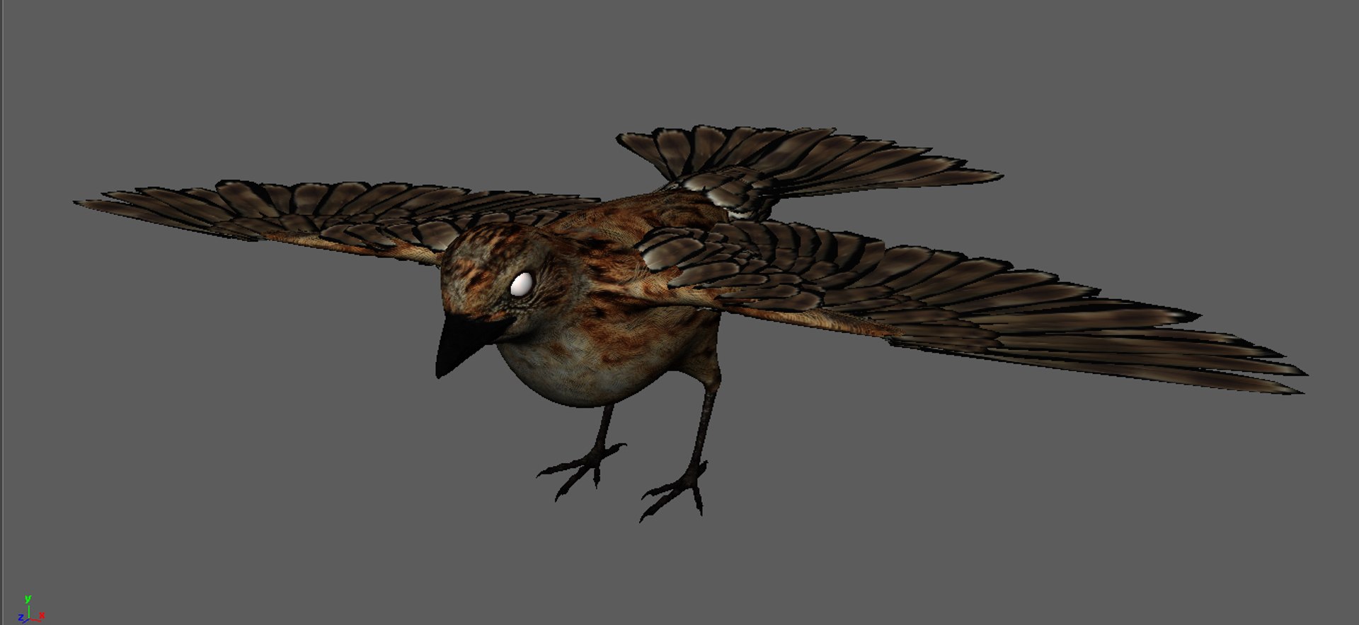 Bird Rig Model - TurboSquid 1282757