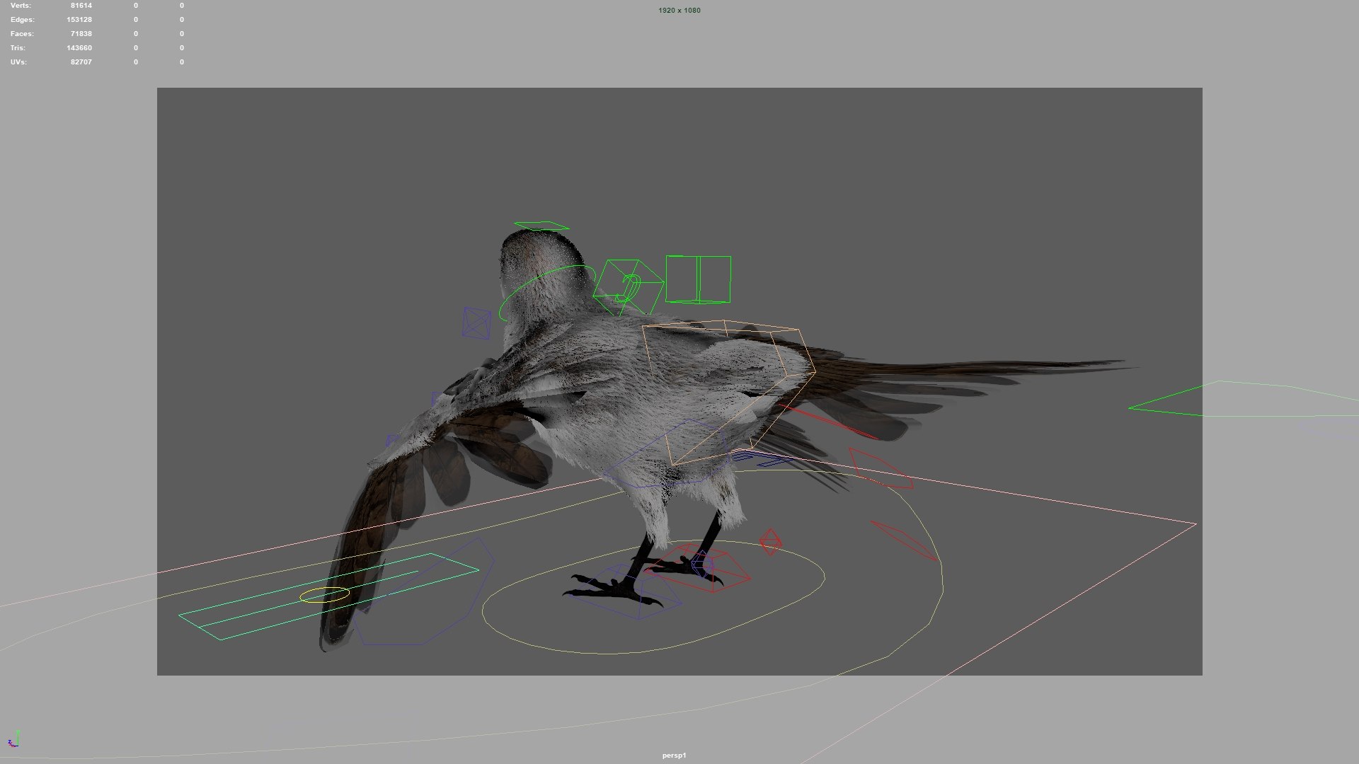 Bird Rig Model - TurboSquid 1282757
