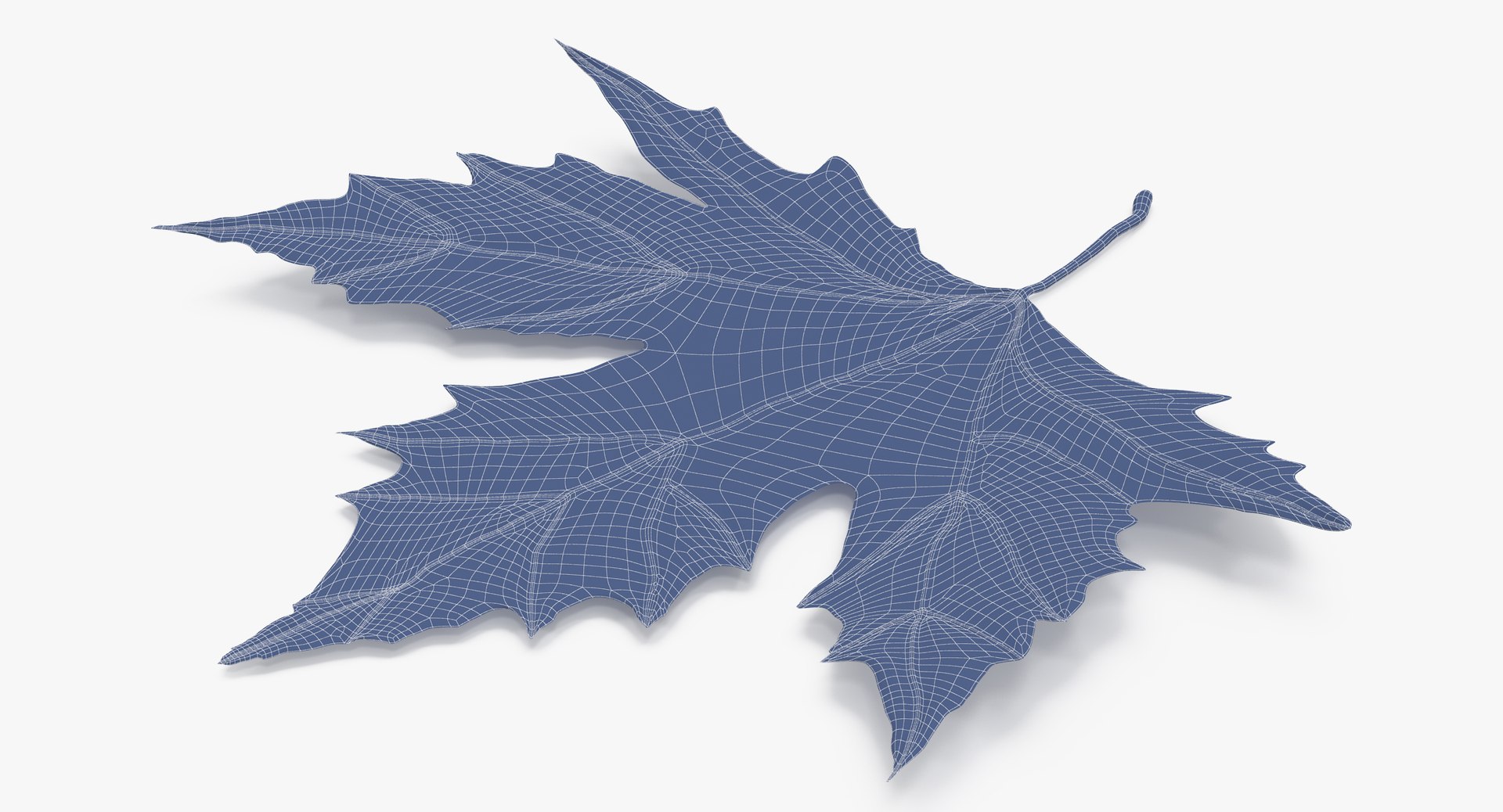brown maple leaf 02 3d max