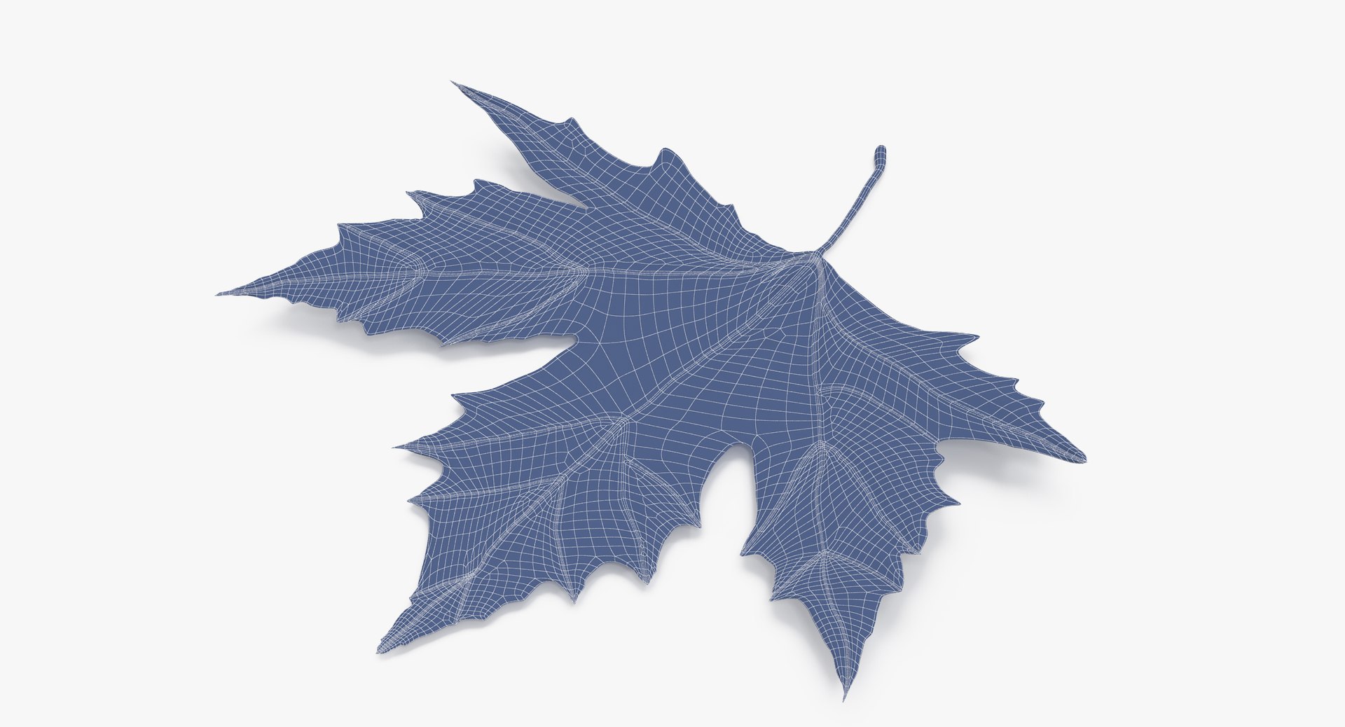 brown maple leaf 02 3d max