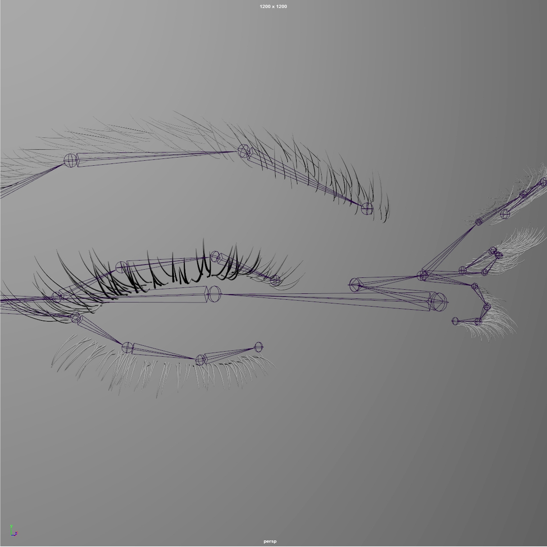 Eyelashes Eyebrows Rig 3d Fbx
