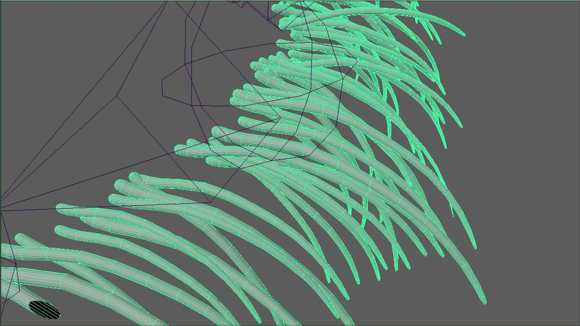 Eyelashes Eyebrows Rig 3d Fbx