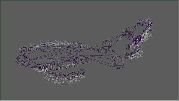 eyelashes eyebrows rig 3d fbx