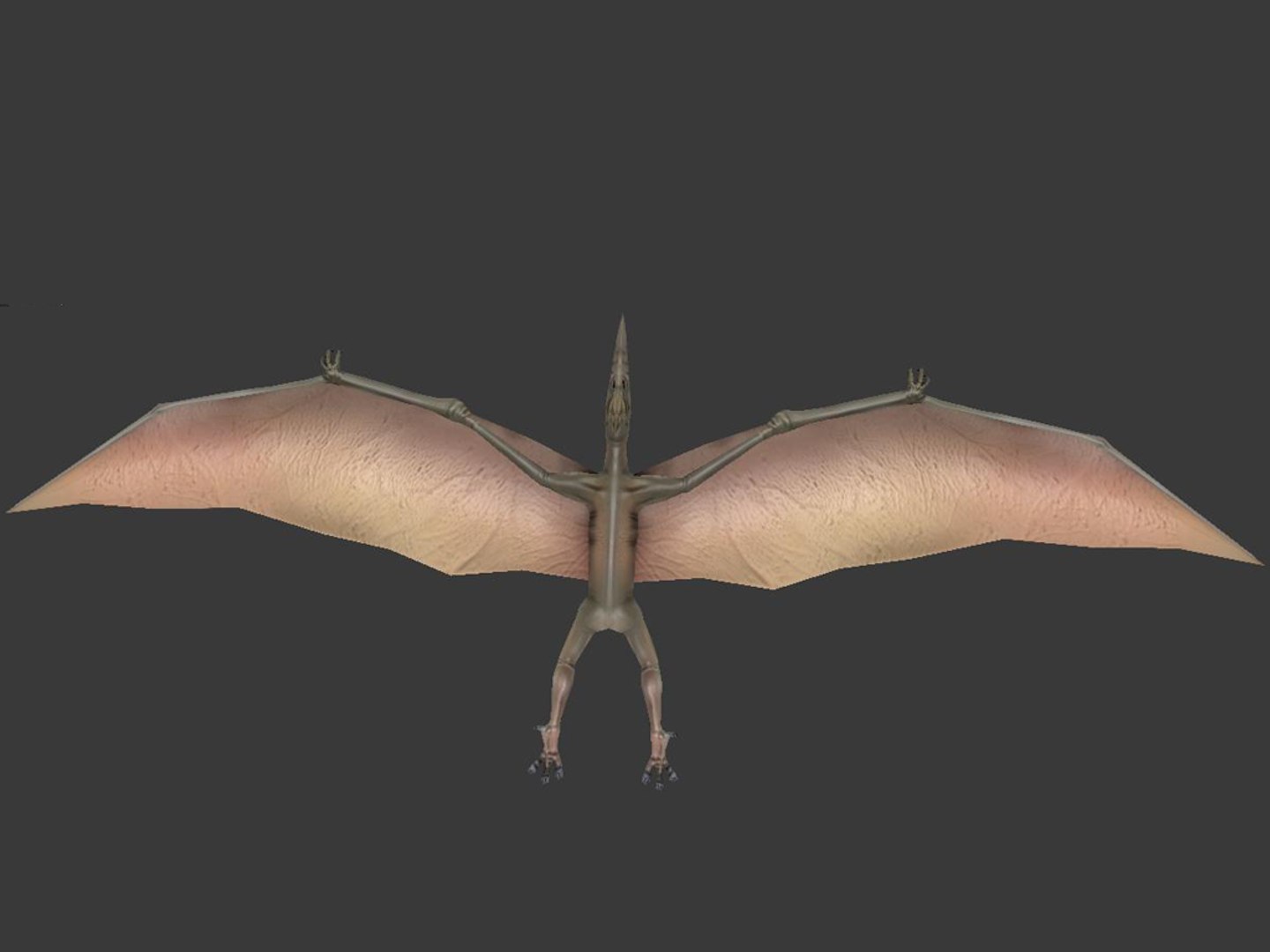 Pterodactyl Dino Dinosaur 3D Model - TurboSquid 1337078