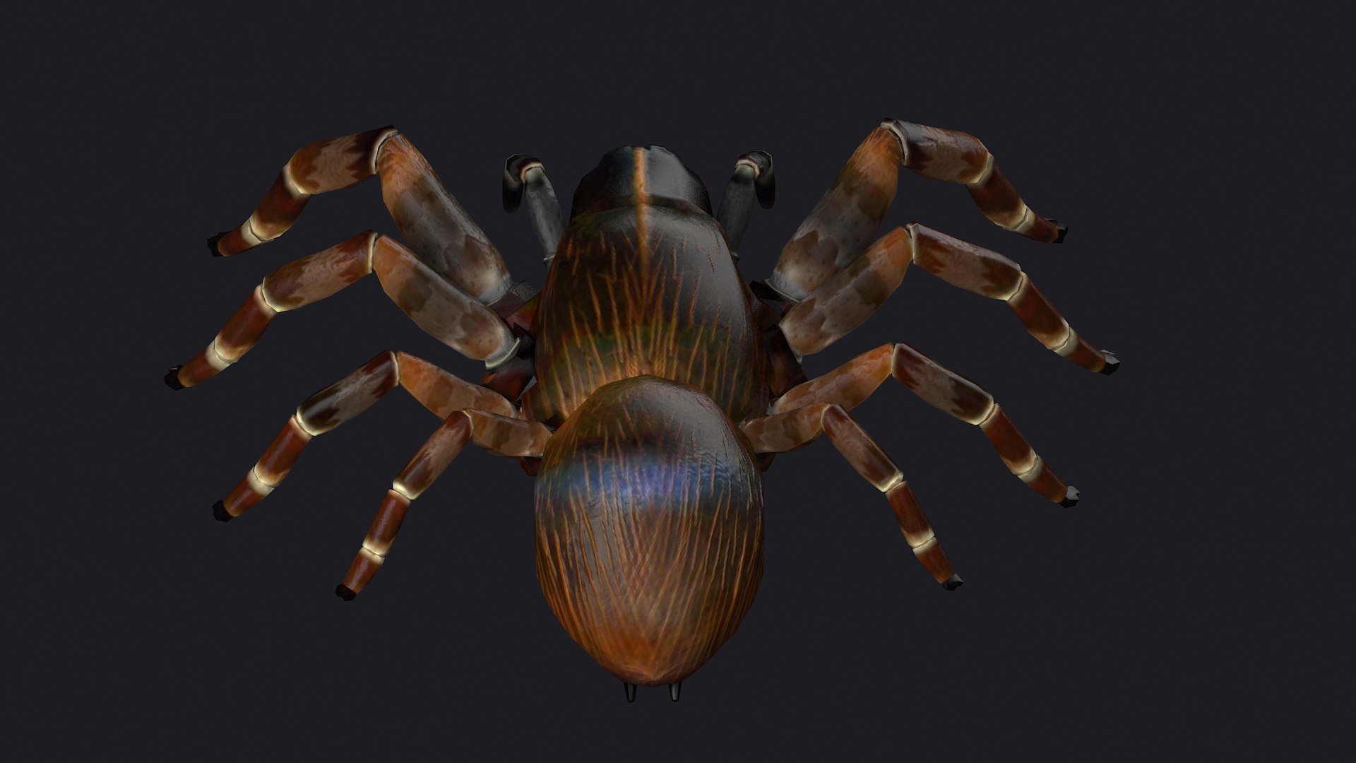 Spider Walking Creepy Tarantula Attack Idle Game Horror 3D - TurboSquid ...