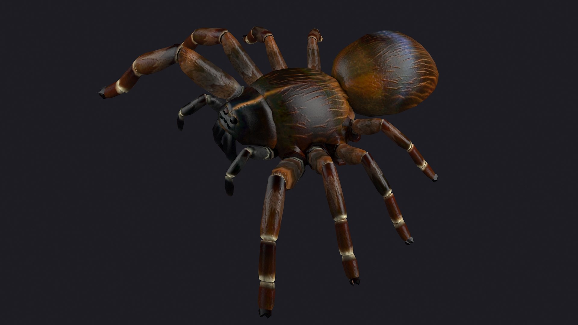 Spider Walking Creepy Tarantula Attack Idle Game Horror 3D - TurboSquid ...