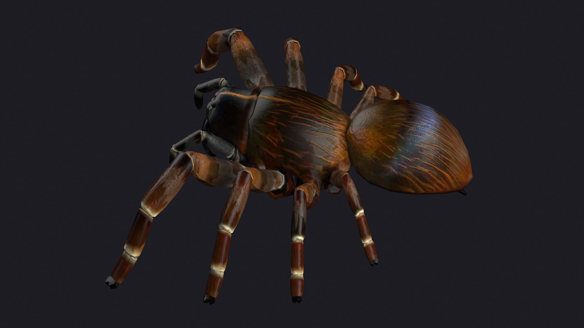 Spider Walking Creepy Tarantula Attack Idle Game Horror 3D - TurboSquid ...