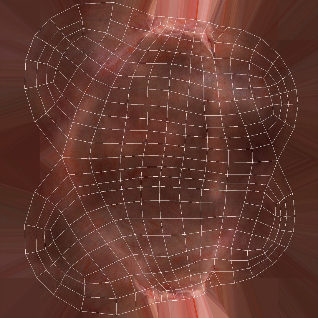 Male urinary 3D model - TurboSquid 1464148