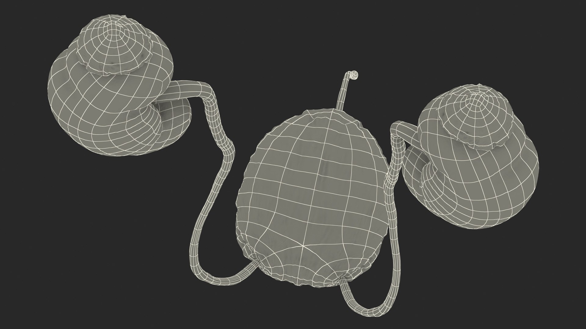 Male urinary 3D model - TurboSquid 1464148