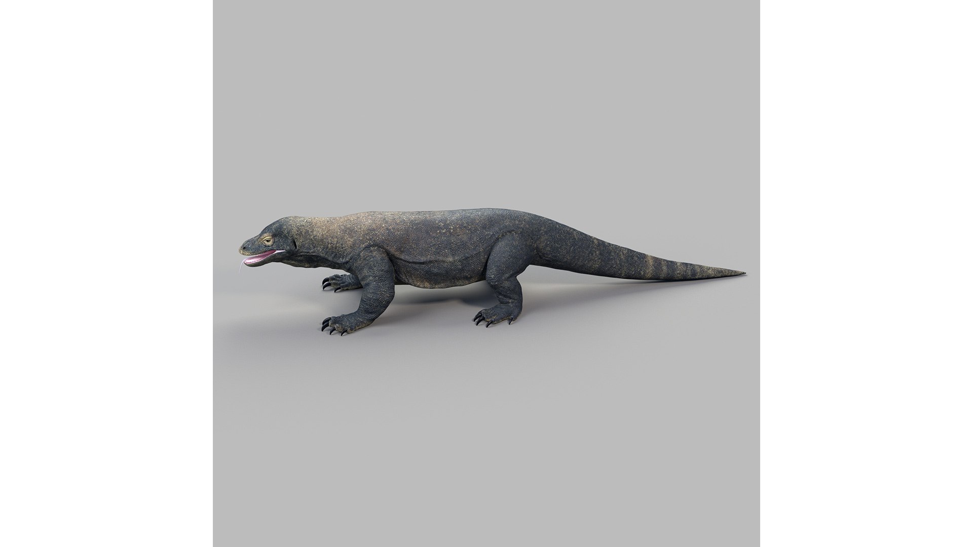 3D Komodo Dragon Model - TurboSquid 1616255