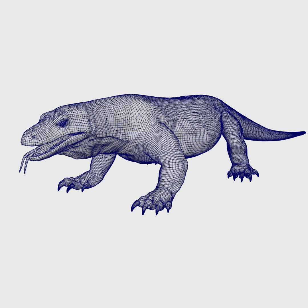 3D Komodo Dragon Model - TurboSquid 1616255