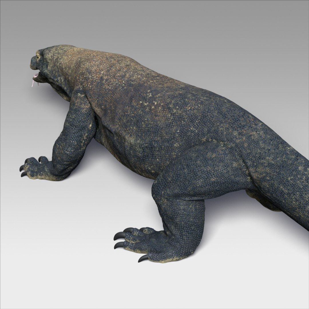 3D Komodo Dragon Model - TurboSquid 1616255