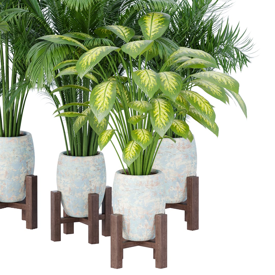 Indoor Plants Collection Vol 62 Model - TurboSquid 1958257