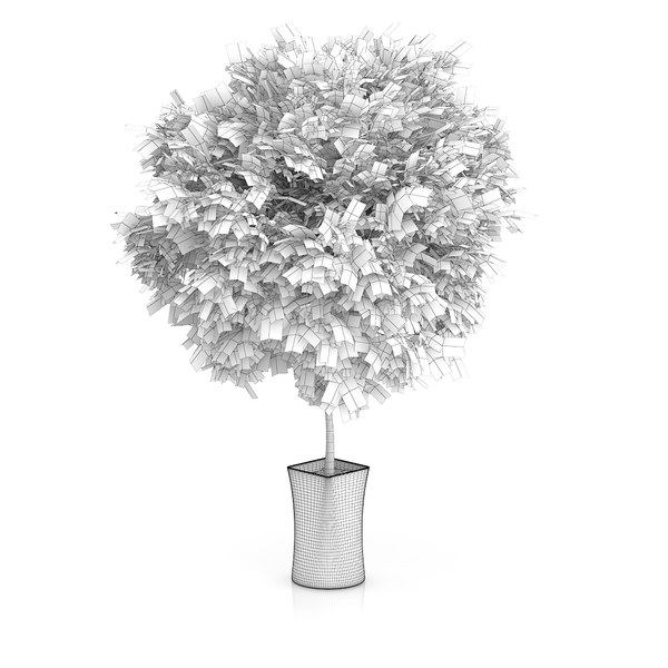 small tree white pot c4d
