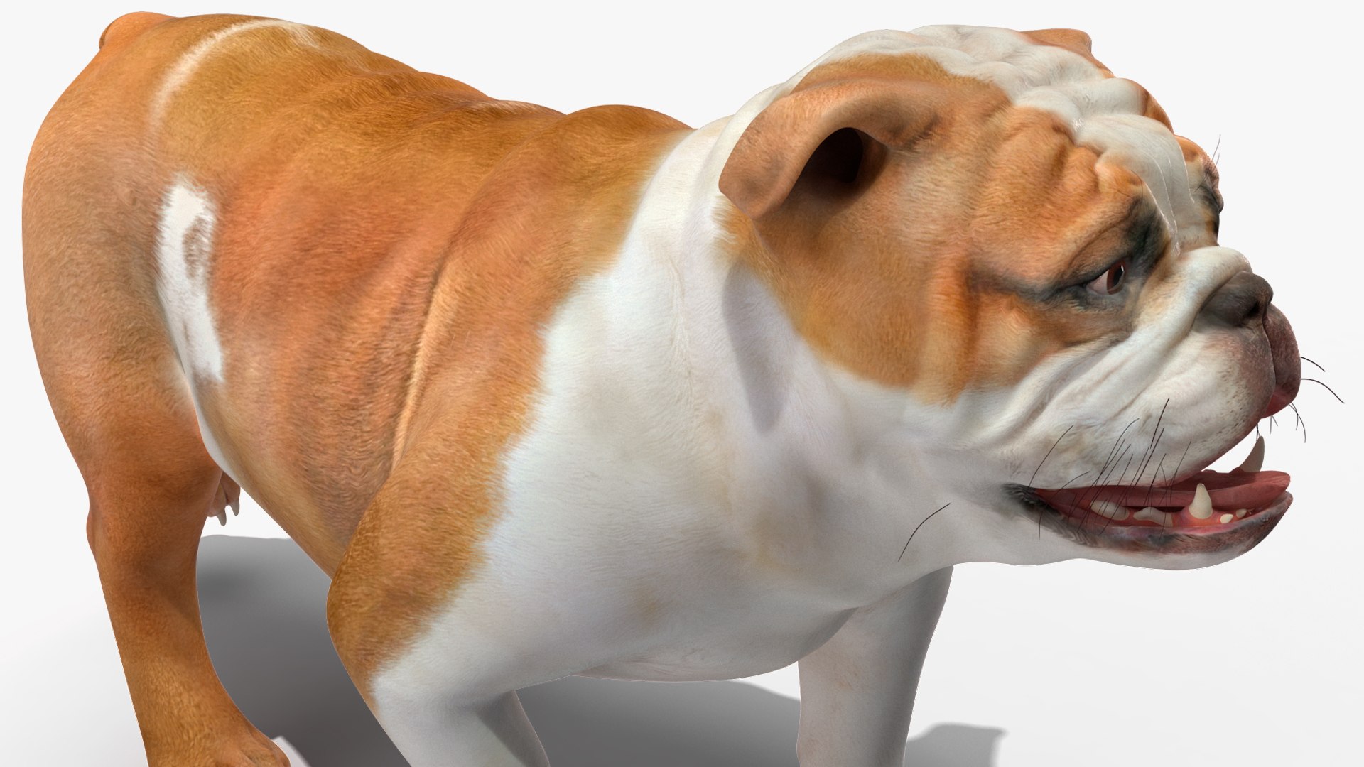 3D Walking Bulldog model - TurboSquid 2177362