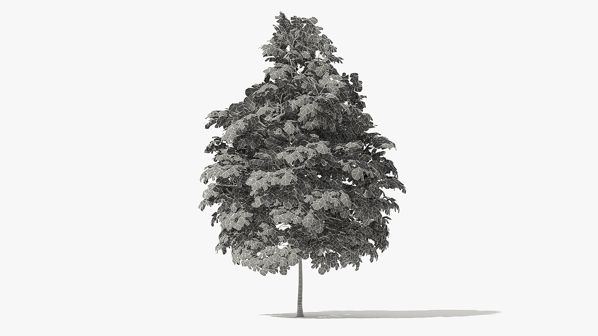 3D Rock Elm Tree 4 - TurboSquid 1464497