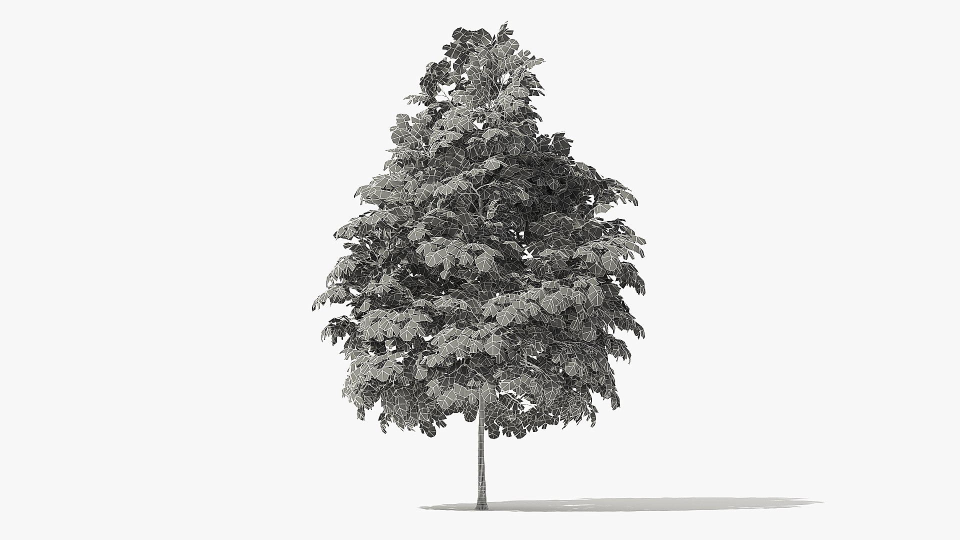 3D Rock Elm Tree 4 - TurboSquid 1464497