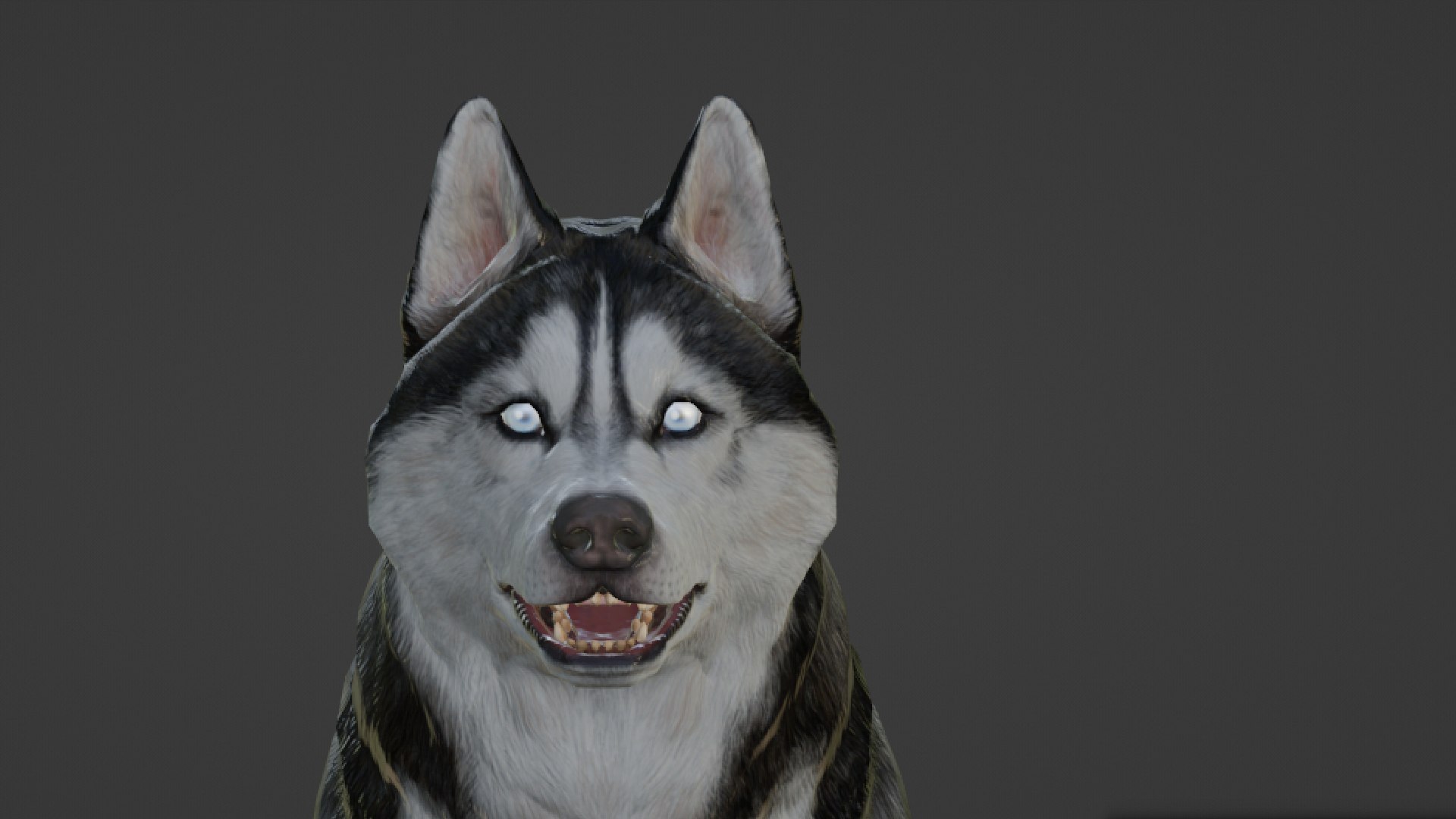 Wolf Pack 3D model - TurboSquid 1911805