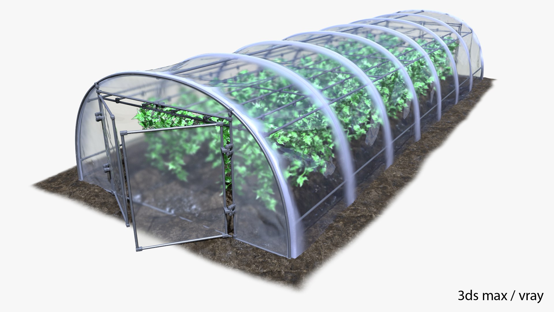 3D Model Greenhouse With Plants - TurboSquid 1836806