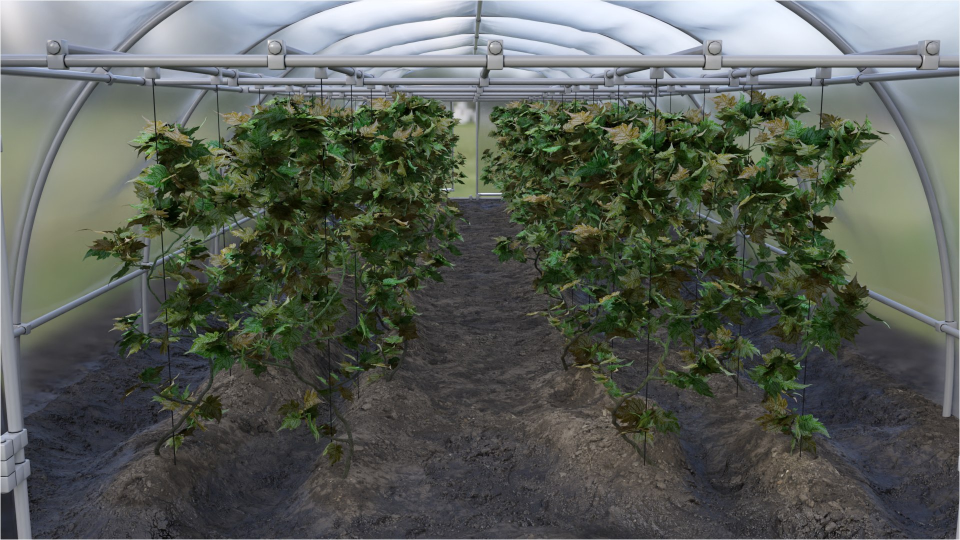 3D Model Greenhouse With Plants - TurboSquid 1836806