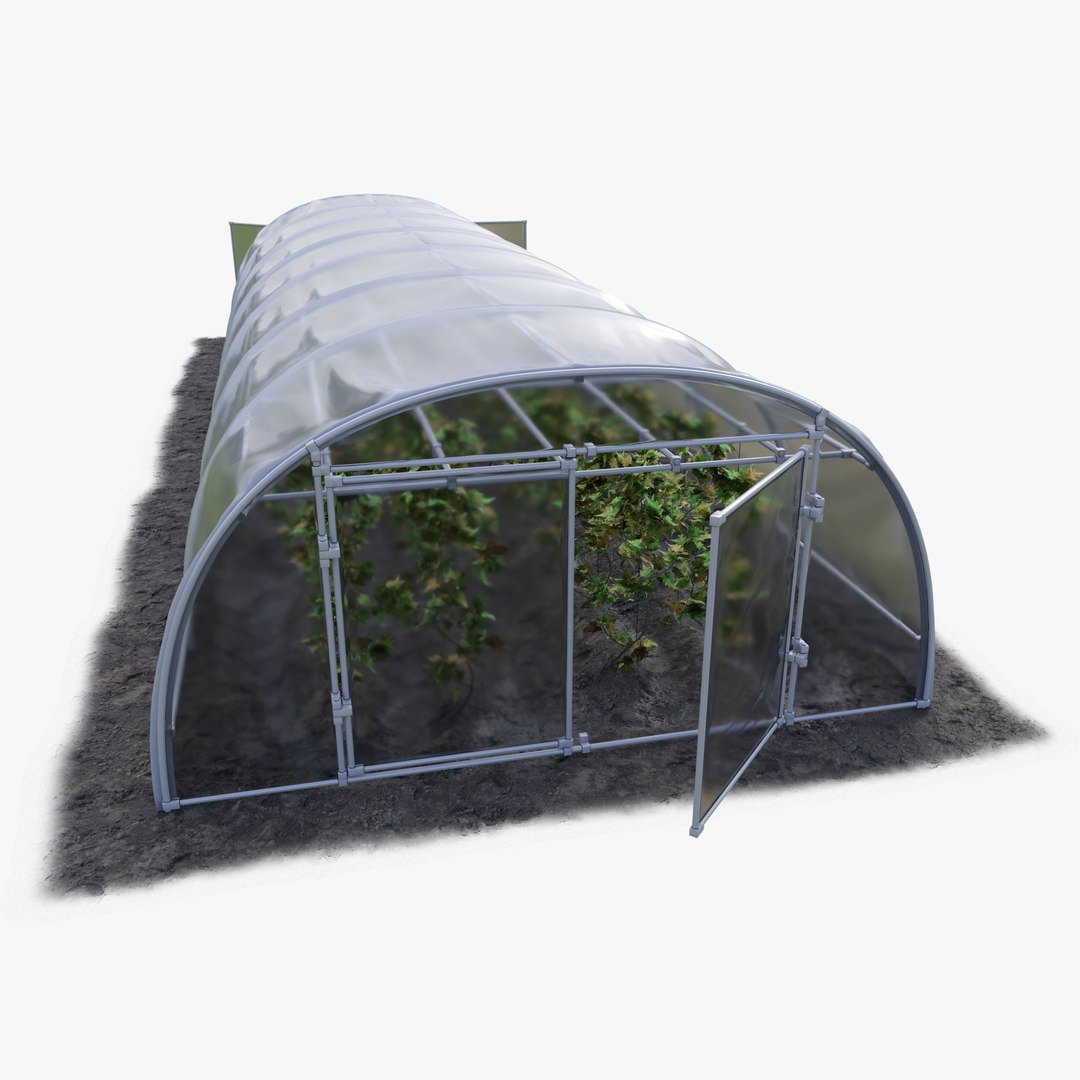 3D model Greenhouse with plants - TurboSquid 1836806