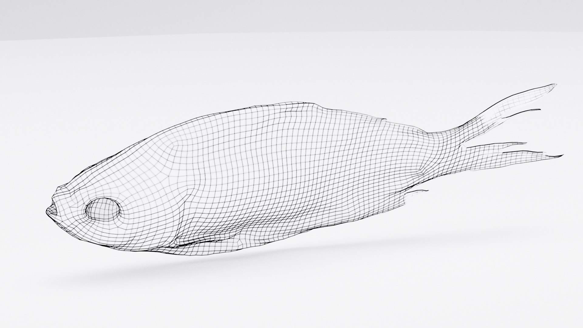 3D Dry Fish Low-poly 3d Scan - TurboSquid 2255602