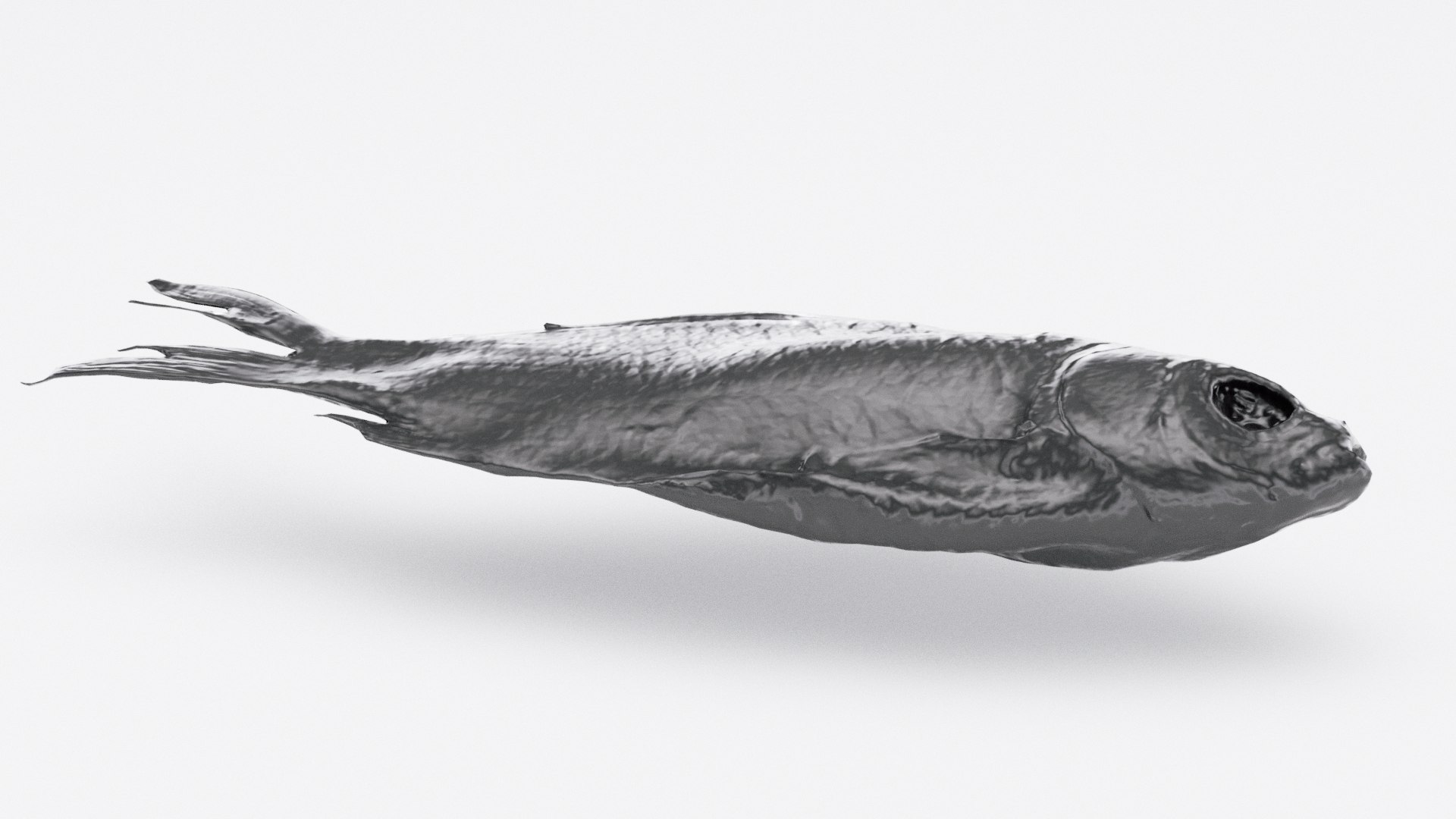 3D Dry Fish Low-poly 3d Scan - TurboSquid 2255602