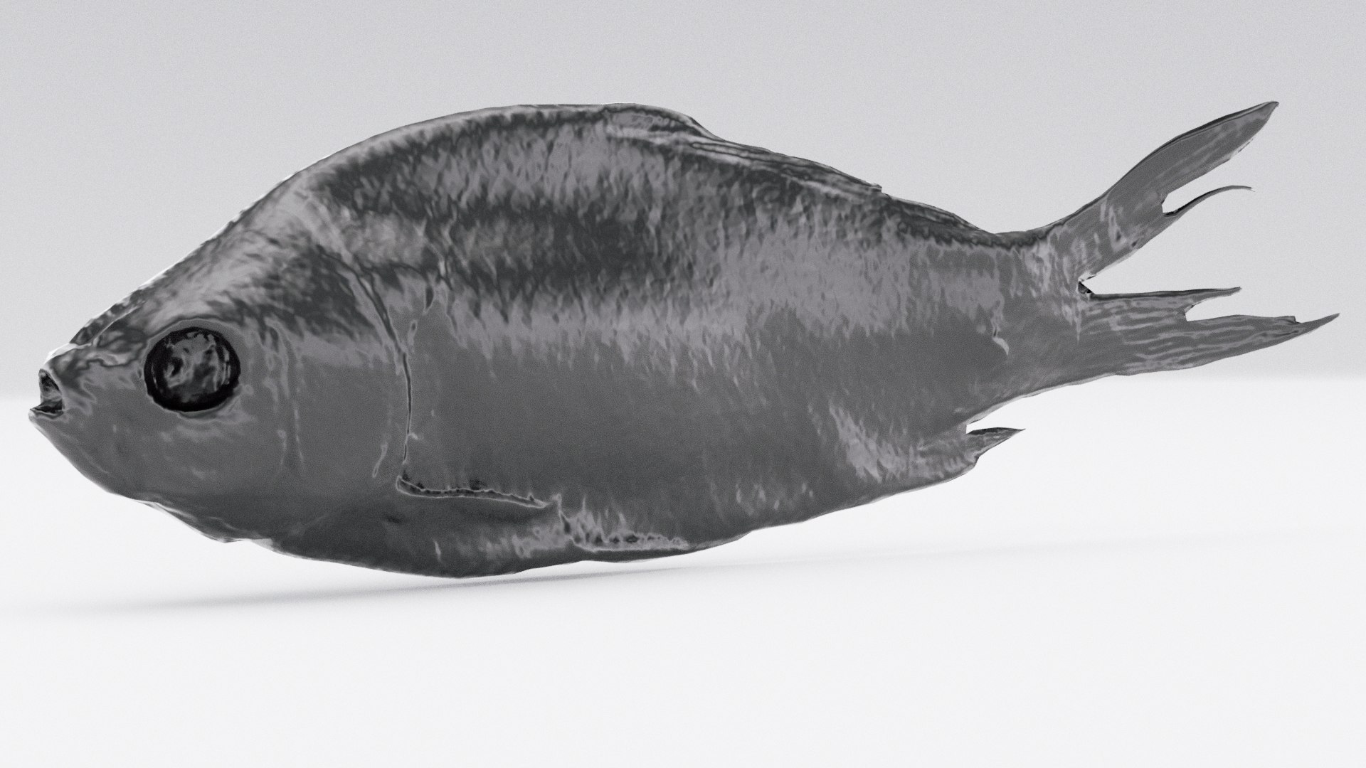3D Dry Fish Low-poly 3d Scan - TurboSquid 2255602