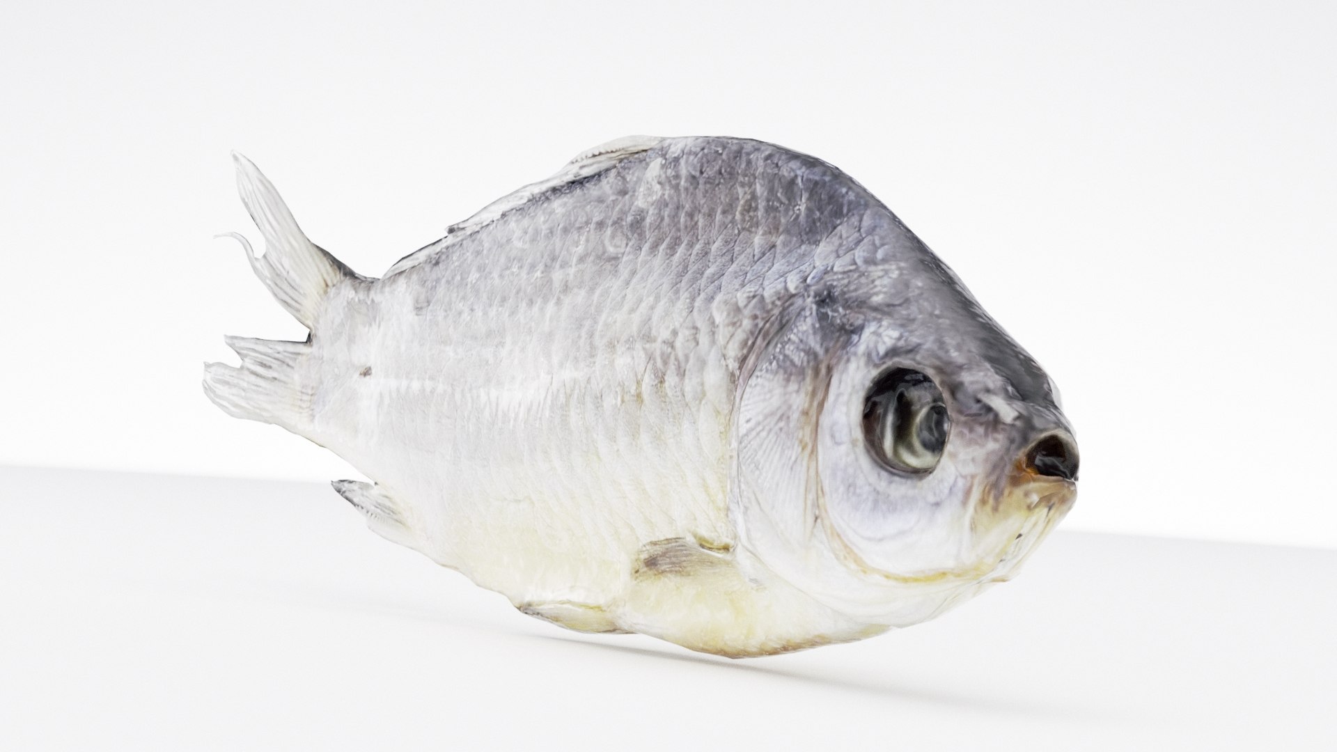 3D Dry Fish Low-poly 3d Scan - TurboSquid 2255602