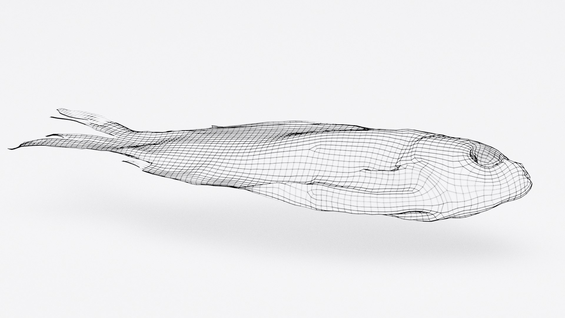 3D Dry Fish Low-poly 3d Scan - TurboSquid 2255602