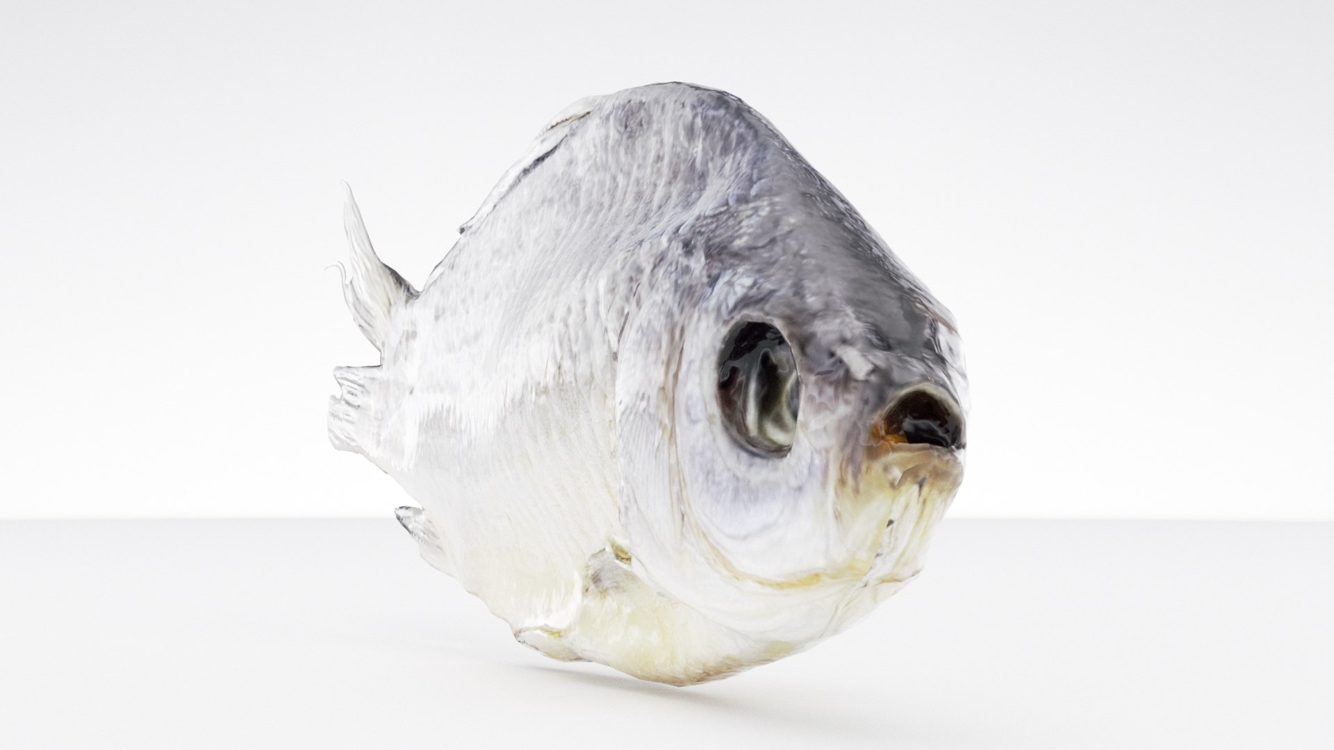 3D Dry Fish Low-poly 3d Scan - TurboSquid 2255602