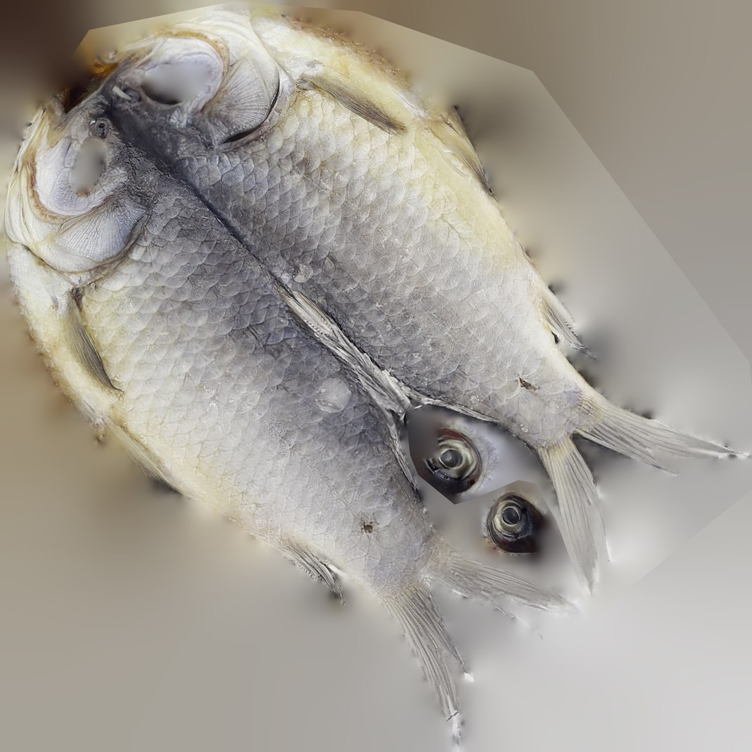 3D Dry Fish Low-poly 3d Scan - TurboSquid 2255602