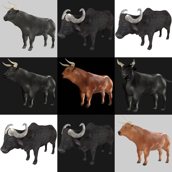 Blender Bull Models | TurboSquid