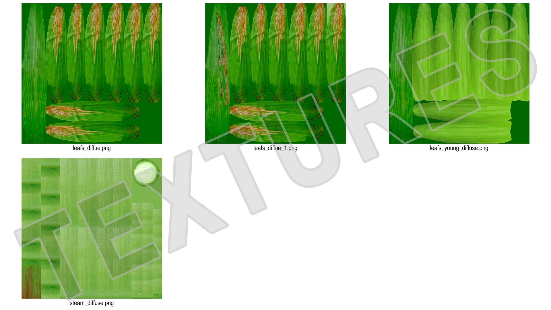 3D Realistic Corn Stalk Model - TurboSquid 2329234