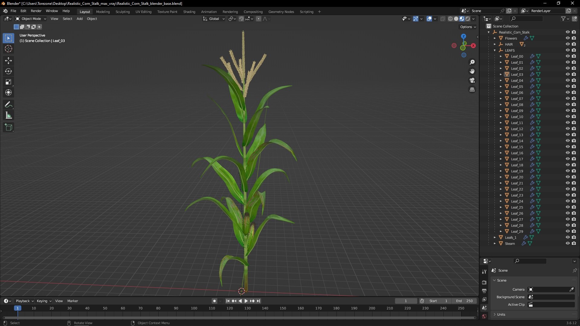 3D Realistic Corn Stalk Model - TurboSquid 2329234