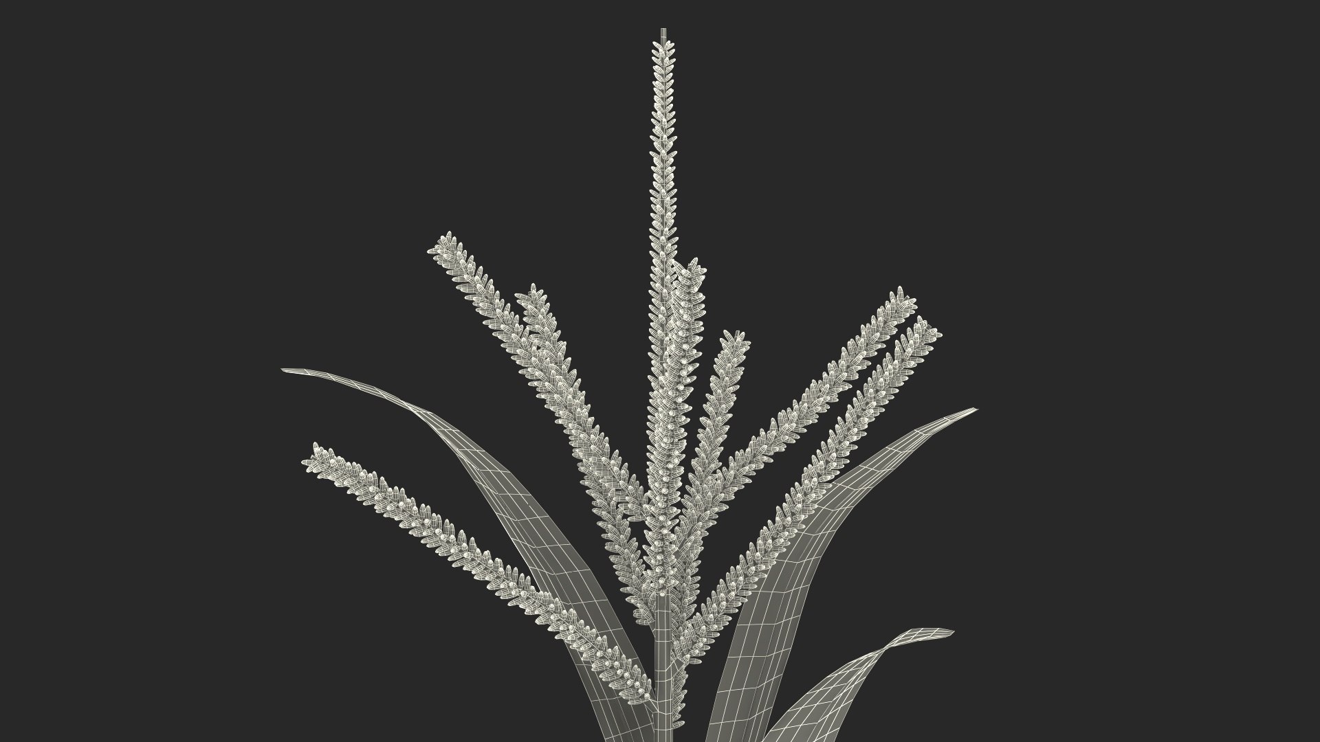 3D Realistic Corn Stalk Model - TurboSquid 2329234