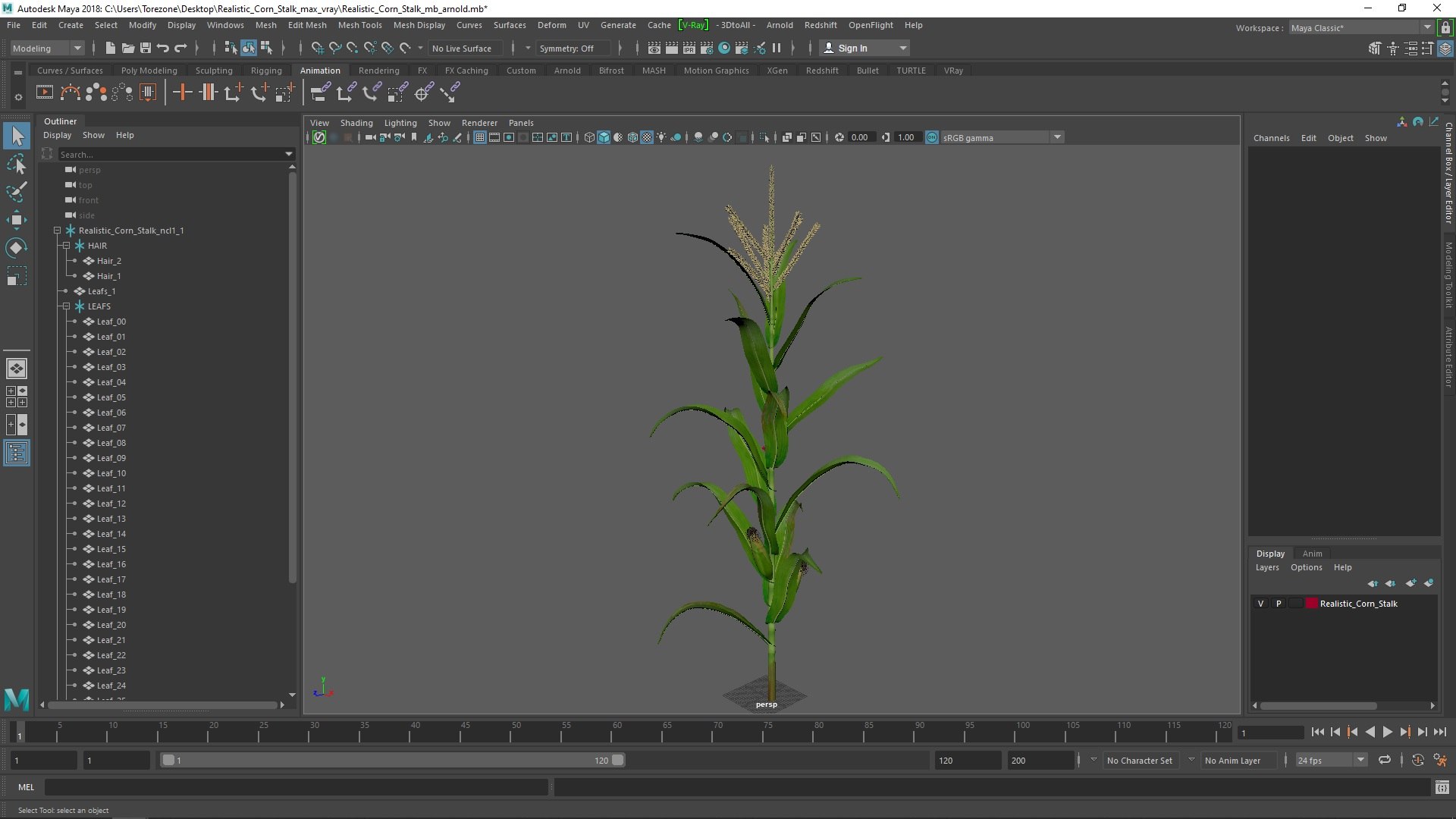 3D Realistic Corn Stalk Model - TurboSquid 2329234