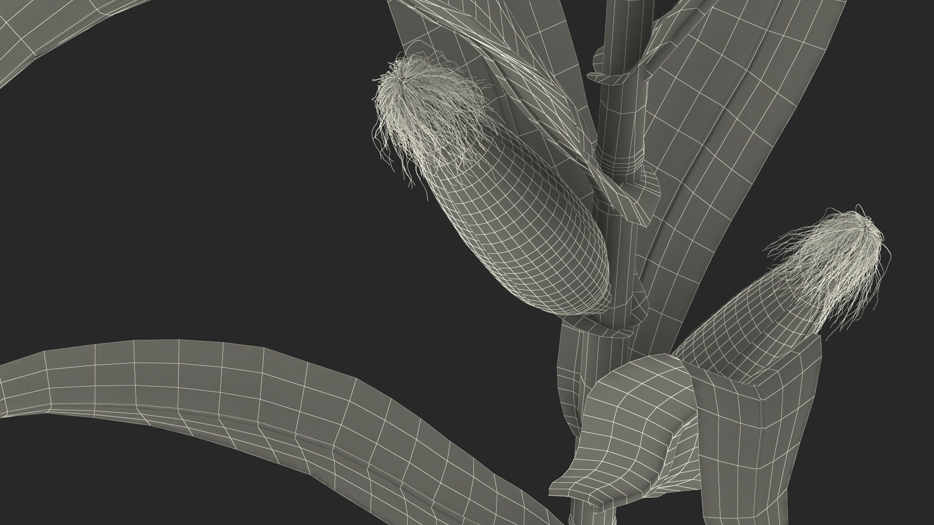 3D Realistic Corn Stalk Model - TurboSquid 2329234