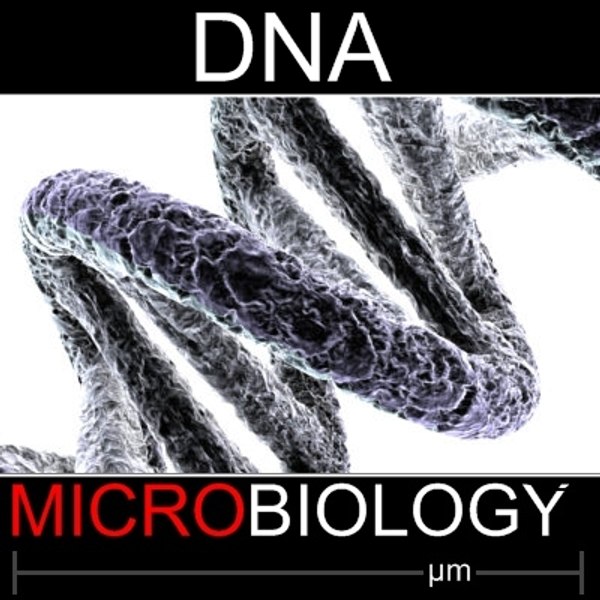 3ds max dna helix