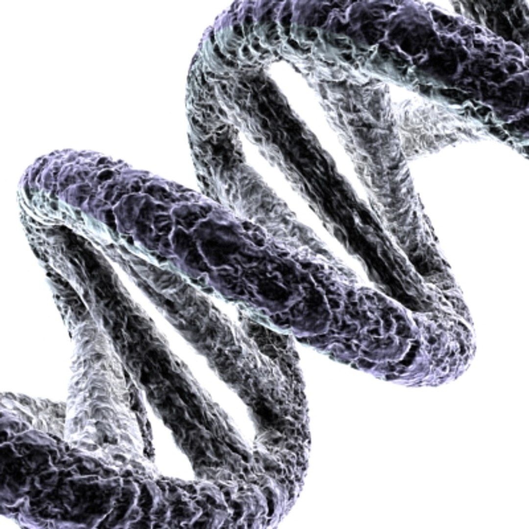 3ds Max Dna Helix